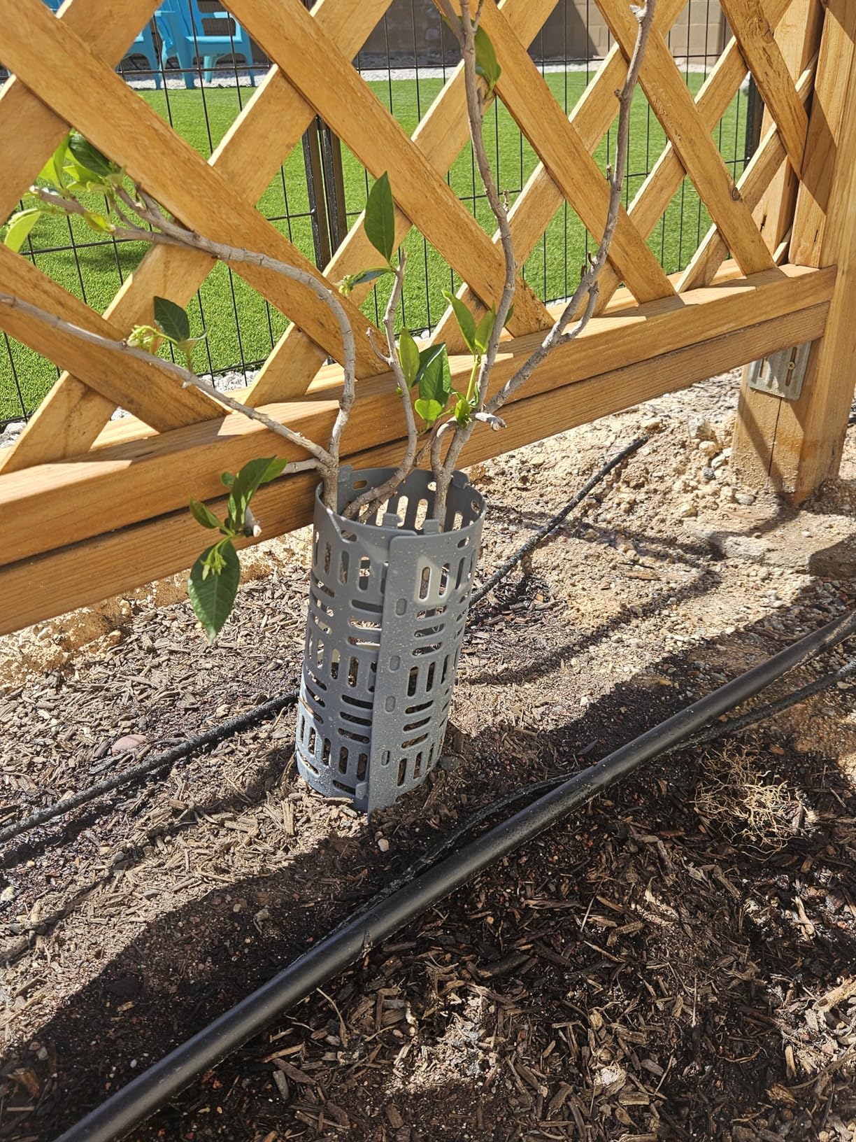 Amazon.com : [ 6 Pack ] Plastic Tree Trunk and Bark Protector ...