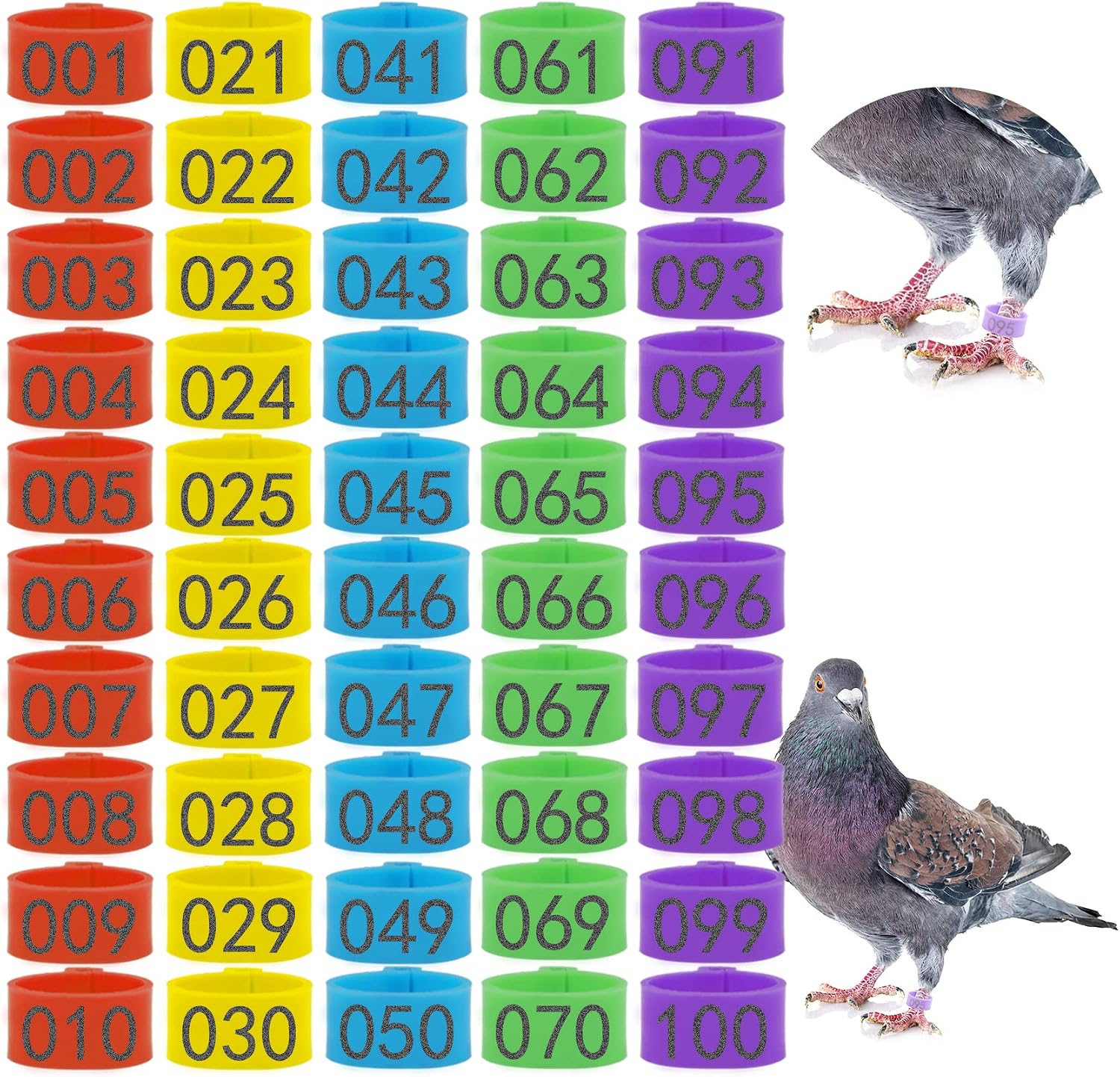 Amazon.com: 100Pcs 8mm Bird Leg Bands Rings - Colorful 001-100 Numbered ...