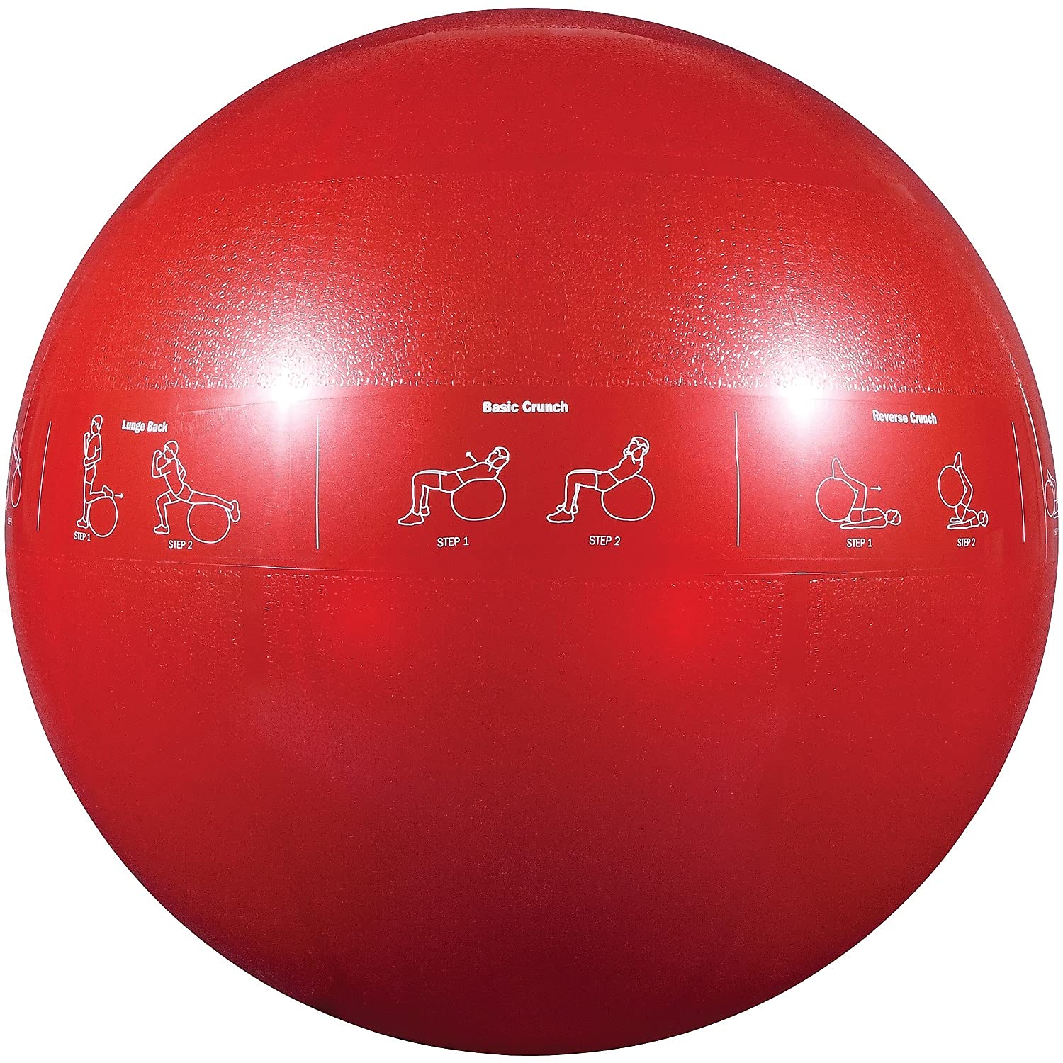 GoFit 65cm Professional Stability Ball : Amazon.in: Sports, Fitness ...