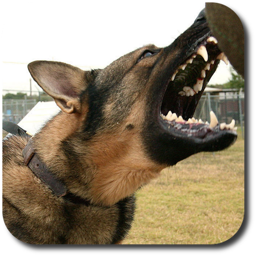 Dog Whistle High Pitched Dog Trainer - App on the Amazon Appstore