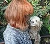 Amazon.com: Folkmanis Baby Sloth Hand Puppet : Toys & Games