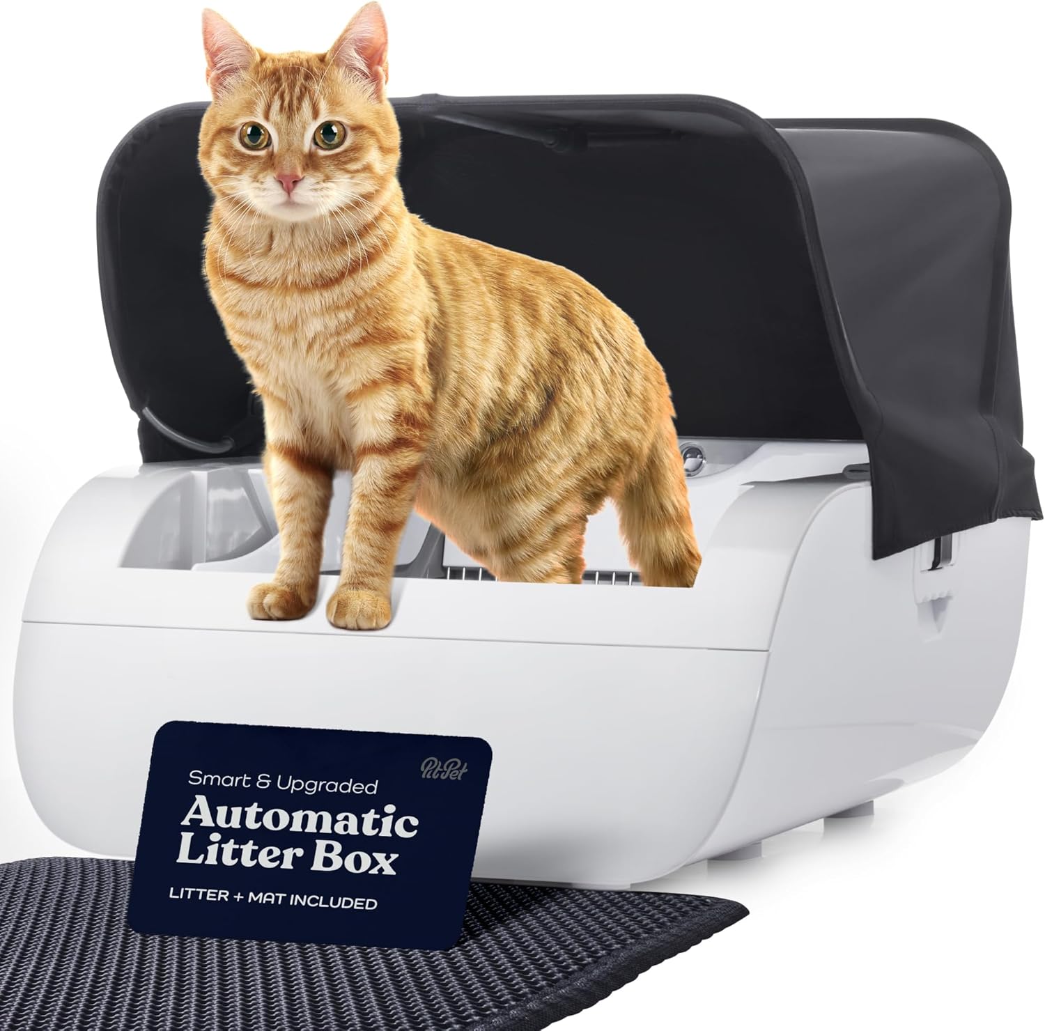 Amazon.com : Smart Automatic Cat Litter Box - Self Cleaning with Built ...