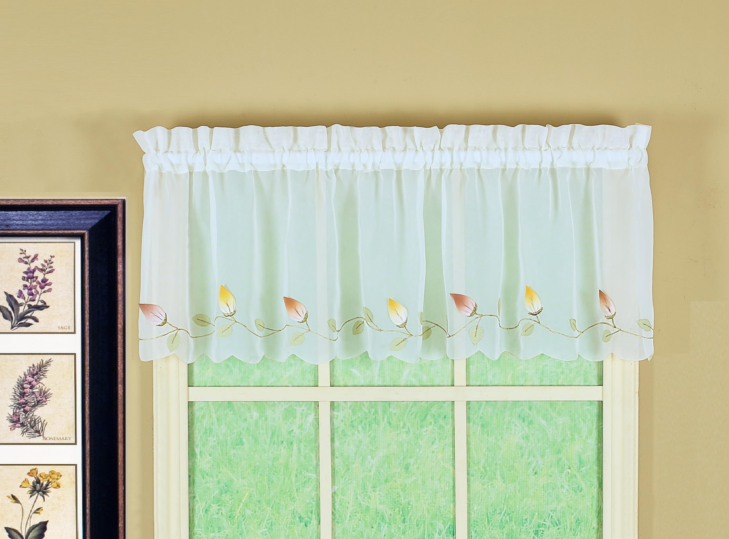 Amazon.com: Today's Curtain,Vineyard 3-D Appliqué,Valance 14", Ecru, 60 ...