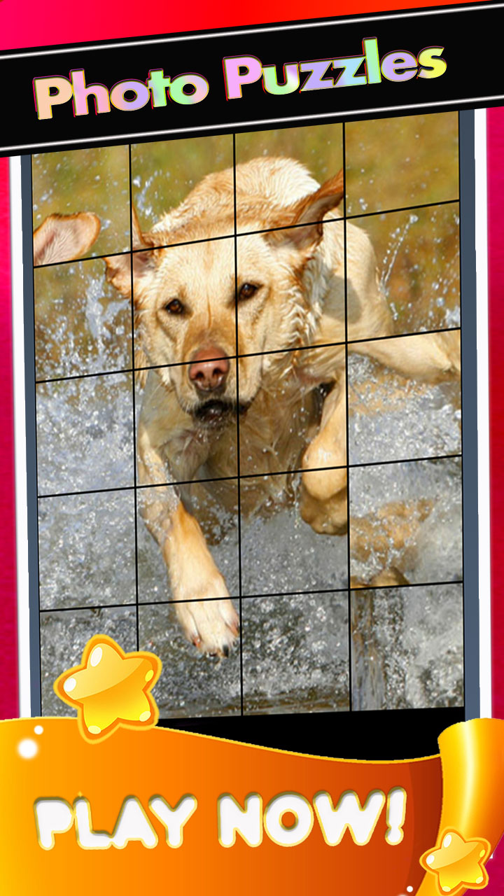Labrador Retriever-Labrador Dogs Puzzle Game - App on Amazon Appstore