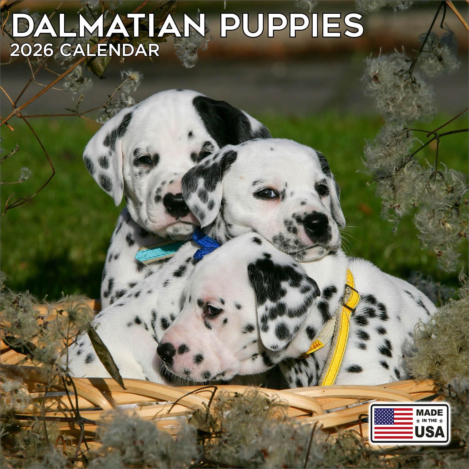 Snapklik.com : 2026 Dalmatian Pups Calendar - Dog Breed Wall Calendar ...
