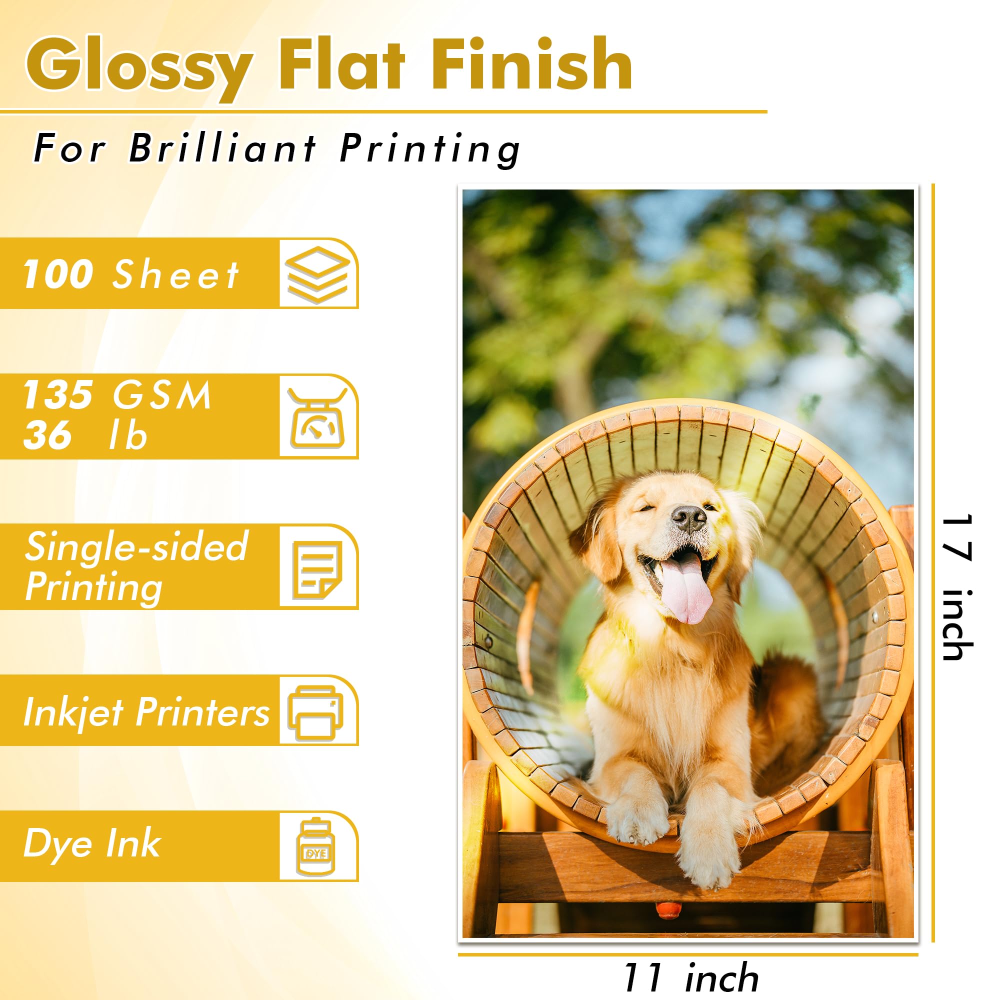 Snapklik.com : Koala Glossy Thin Inkjet Printer Paper 11x17 Inches For ...