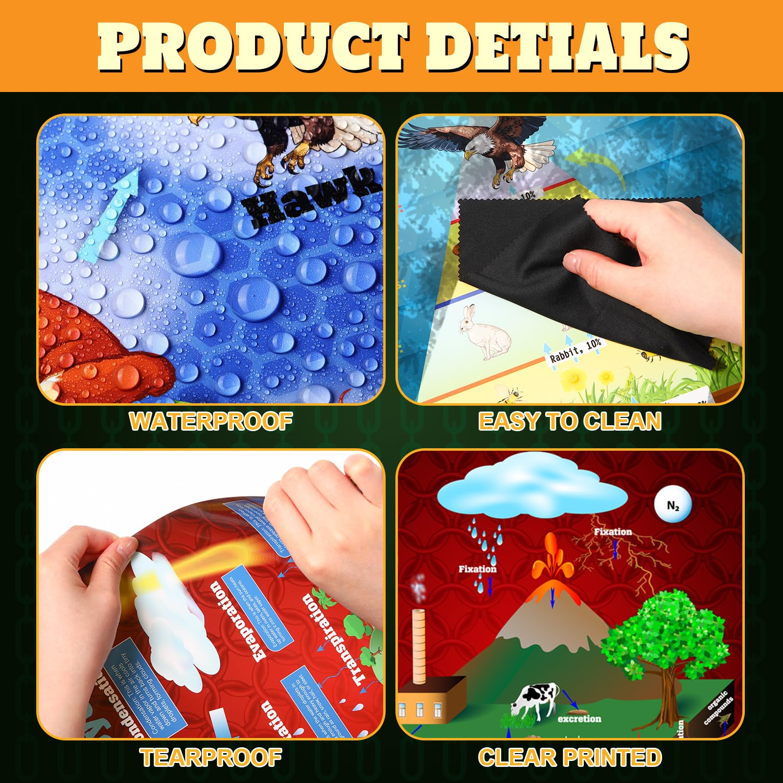 Snapklik.com : 6 Pcs Science Posters Ecosystems Teaching Posters Set ...