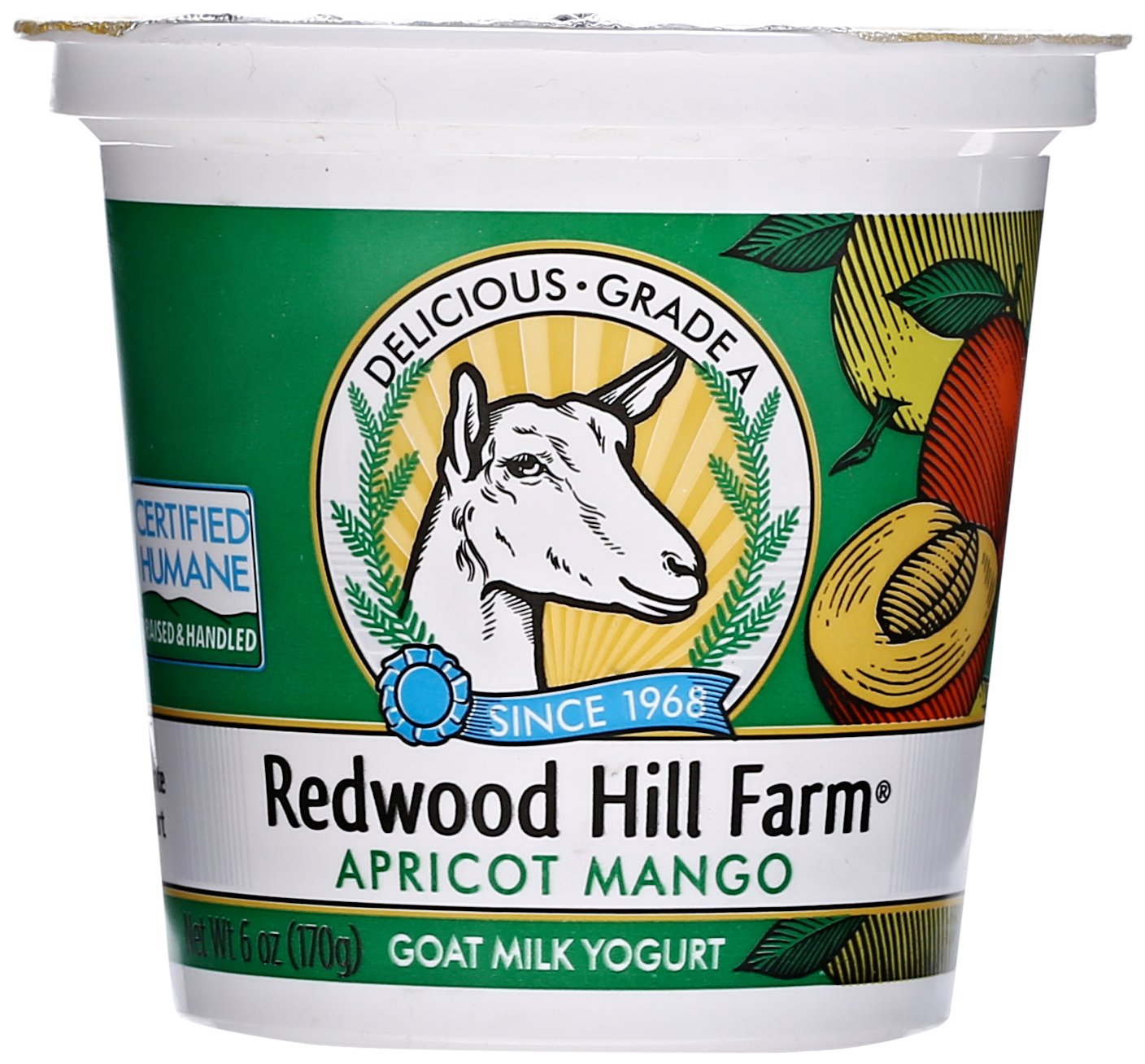 Amazon.com: Redwood Hill, Goat Milk Yogurt, Apricot Mango, 6 oz ...