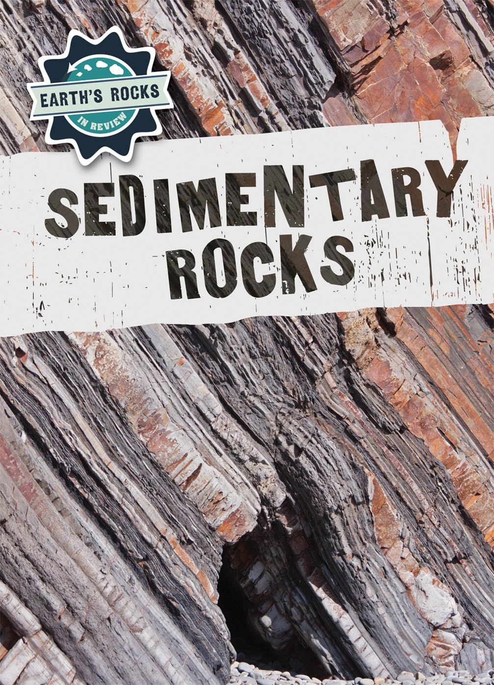 Sedimentary Rocks (Earth's Rocks in Review): McDougal, Anna ...