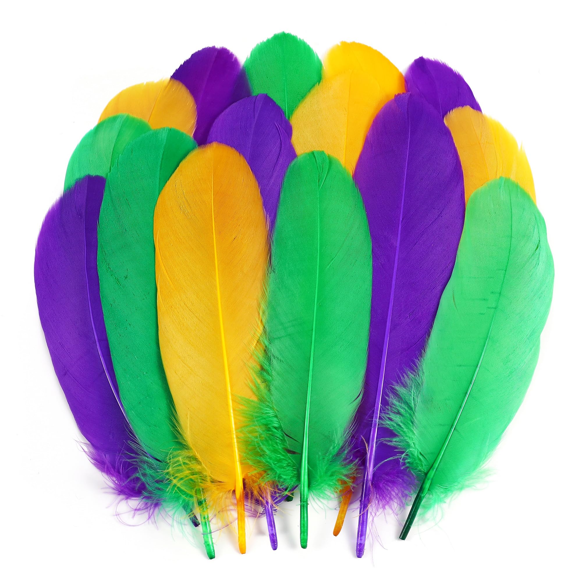 Amazon.com: Holmgren Mardi Gras Craft Feathers Bulk - 200pcs 5-6inch ...