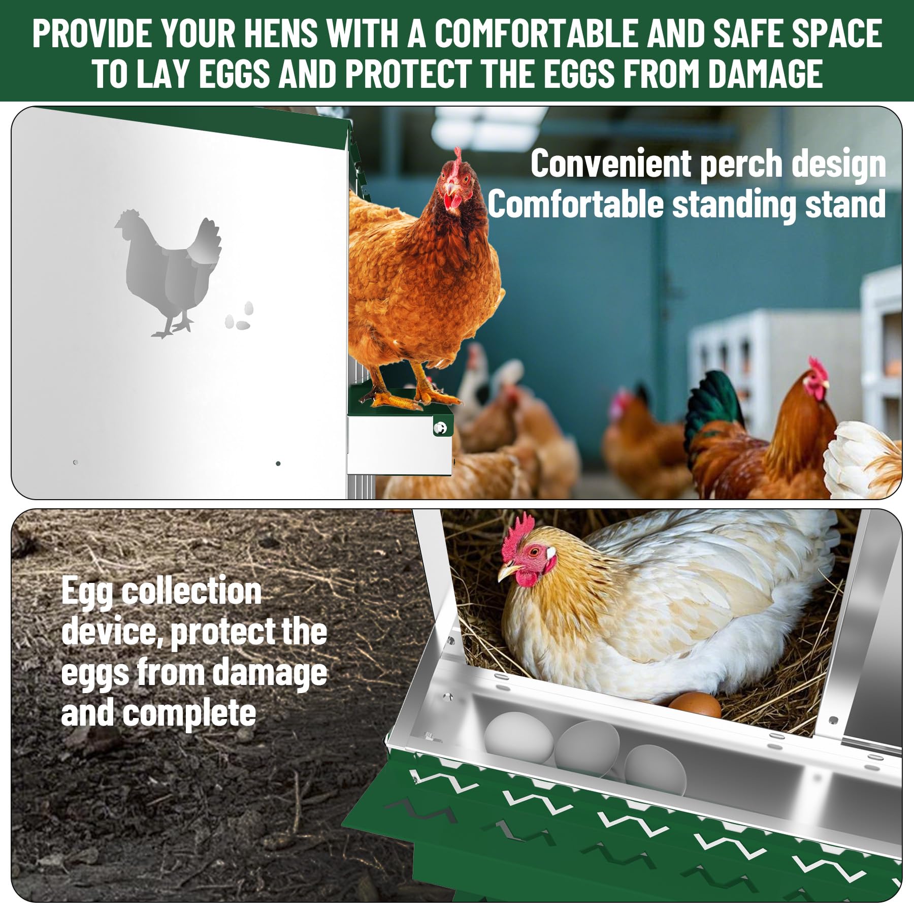Snapklik.com : Chicken Nesting Box, 8 Compartment Metal Chicken Nesting ...