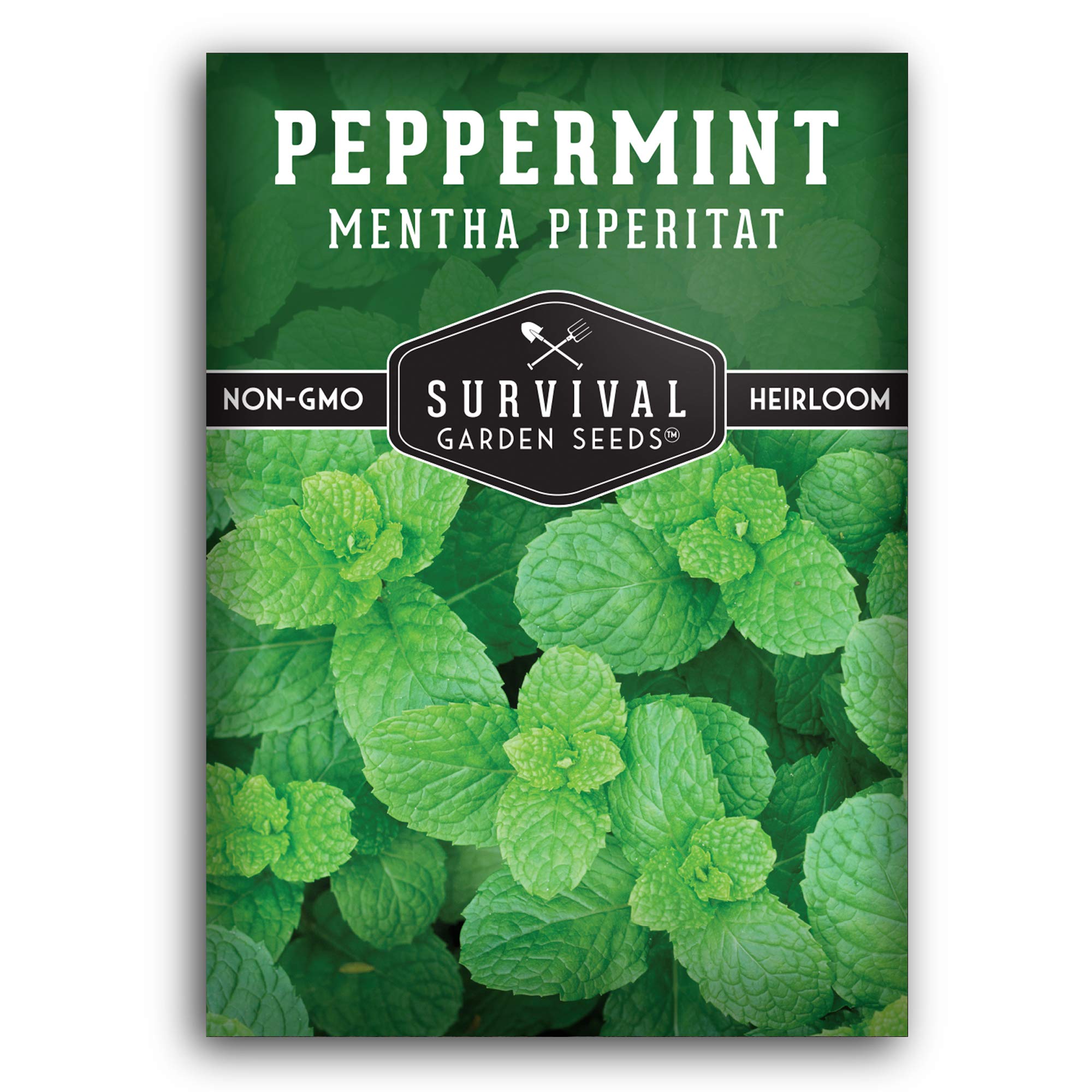 Amazon.com : Survival Garden Seeds - Peppermint Seed for Planting ...