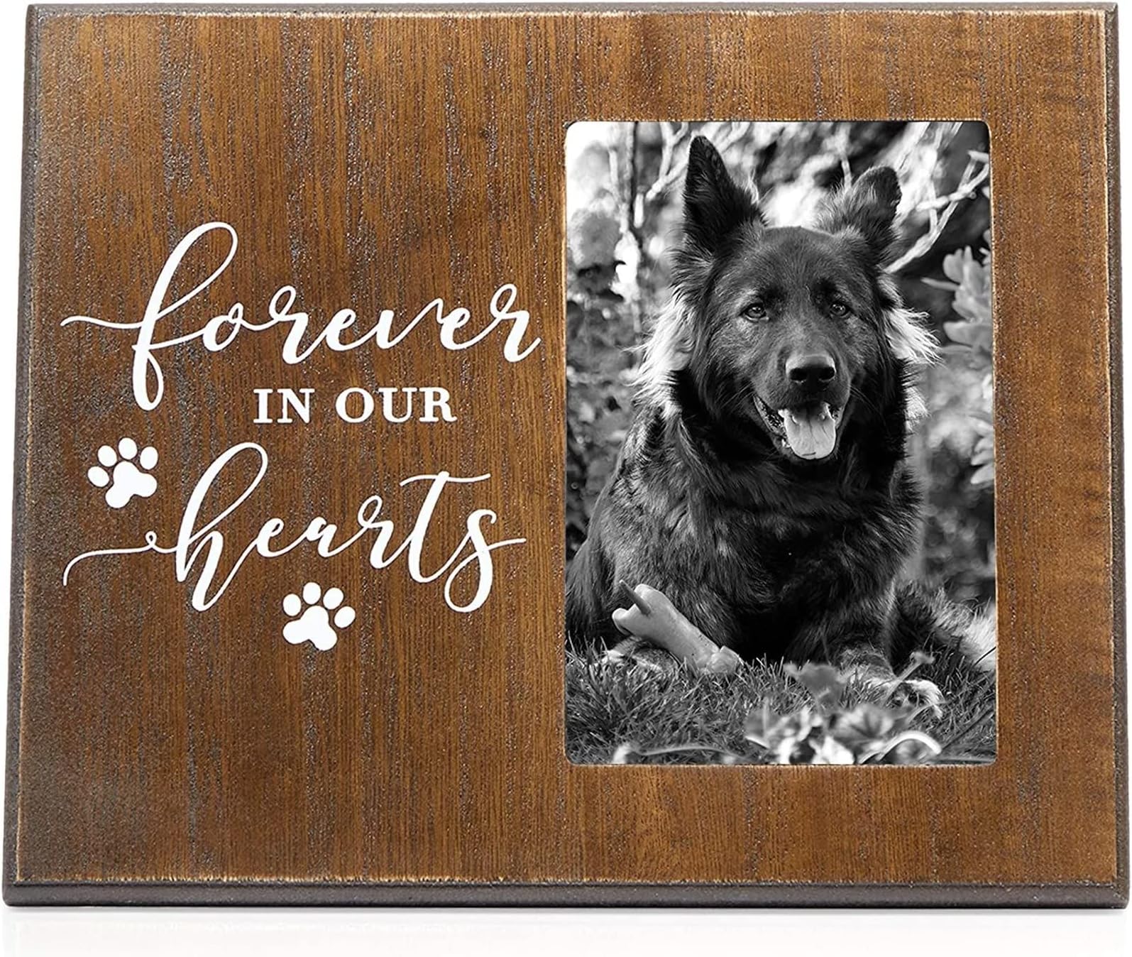Amazon.com - Malden Int Designs 4x6 Pet Sentiment Picture Frame A ...