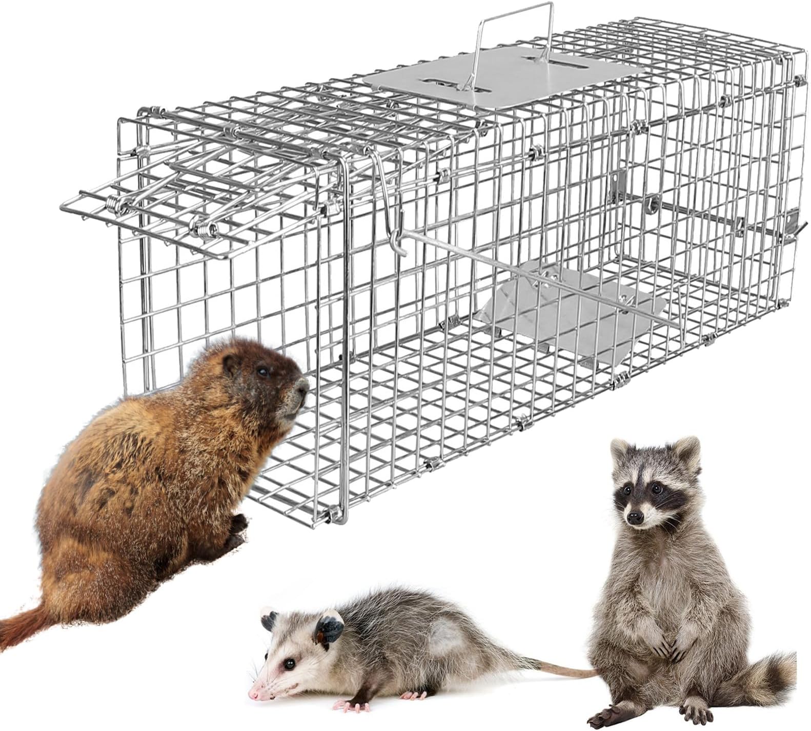 Amazon.com : Tomahawk Live Trap Model 103 - Original Series Live Trap ...