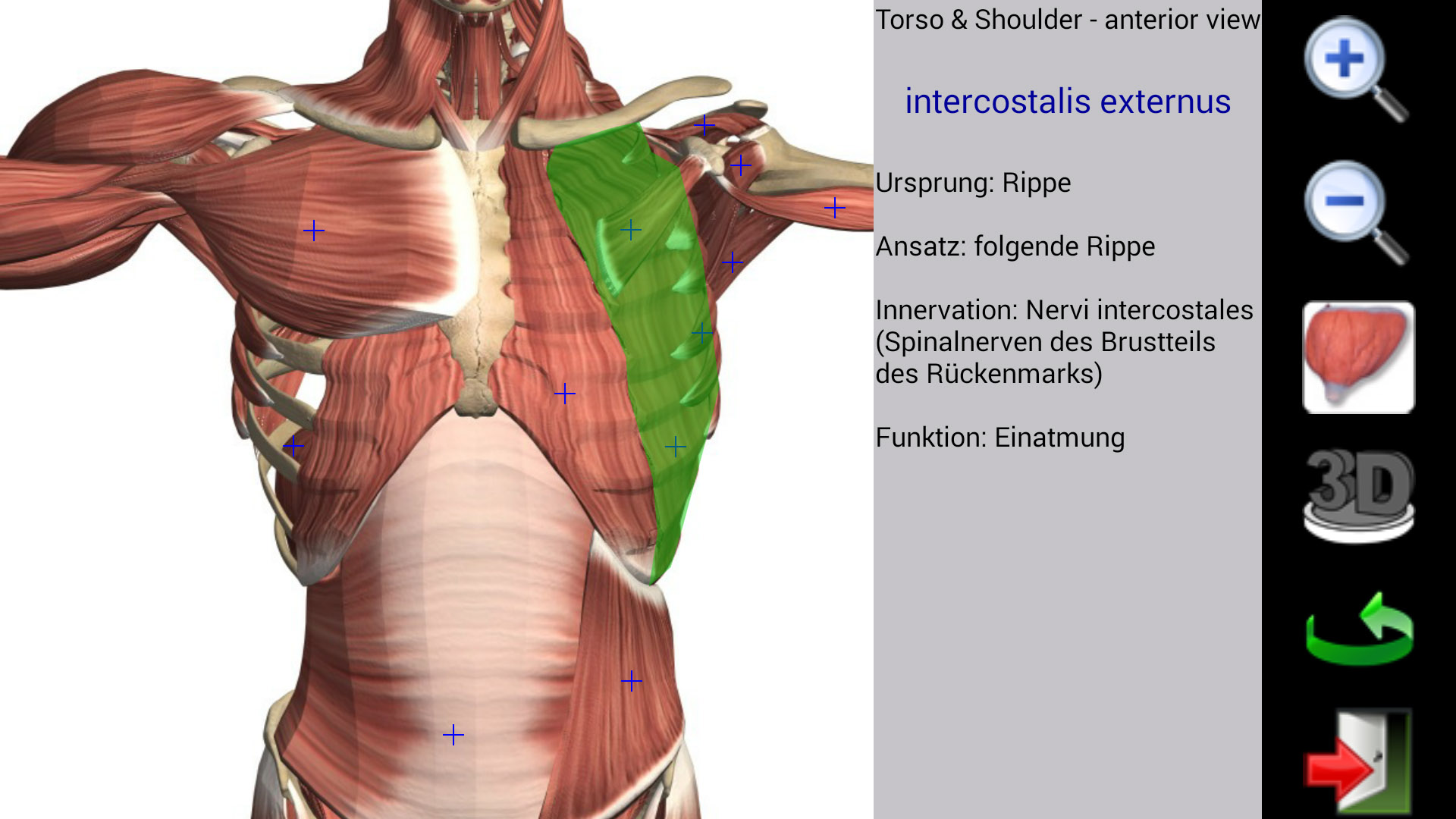 Visual Muscles 3D - App on Amazon Appstore