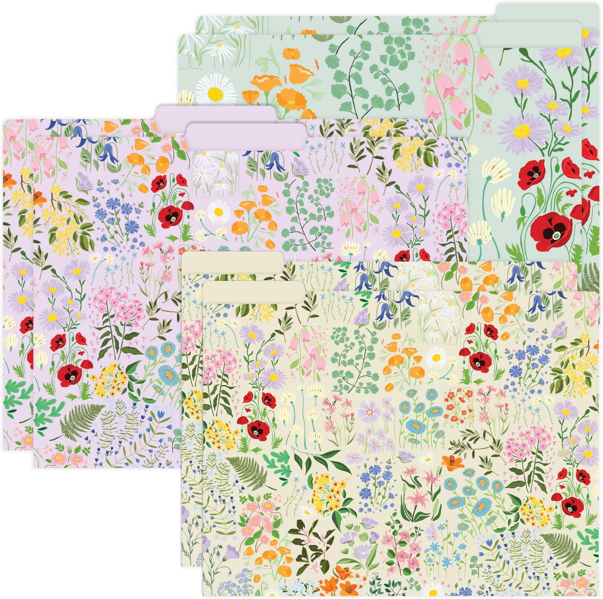 Amazon.com : Happy Day! Products 9 Decorative File Folders for Women ...