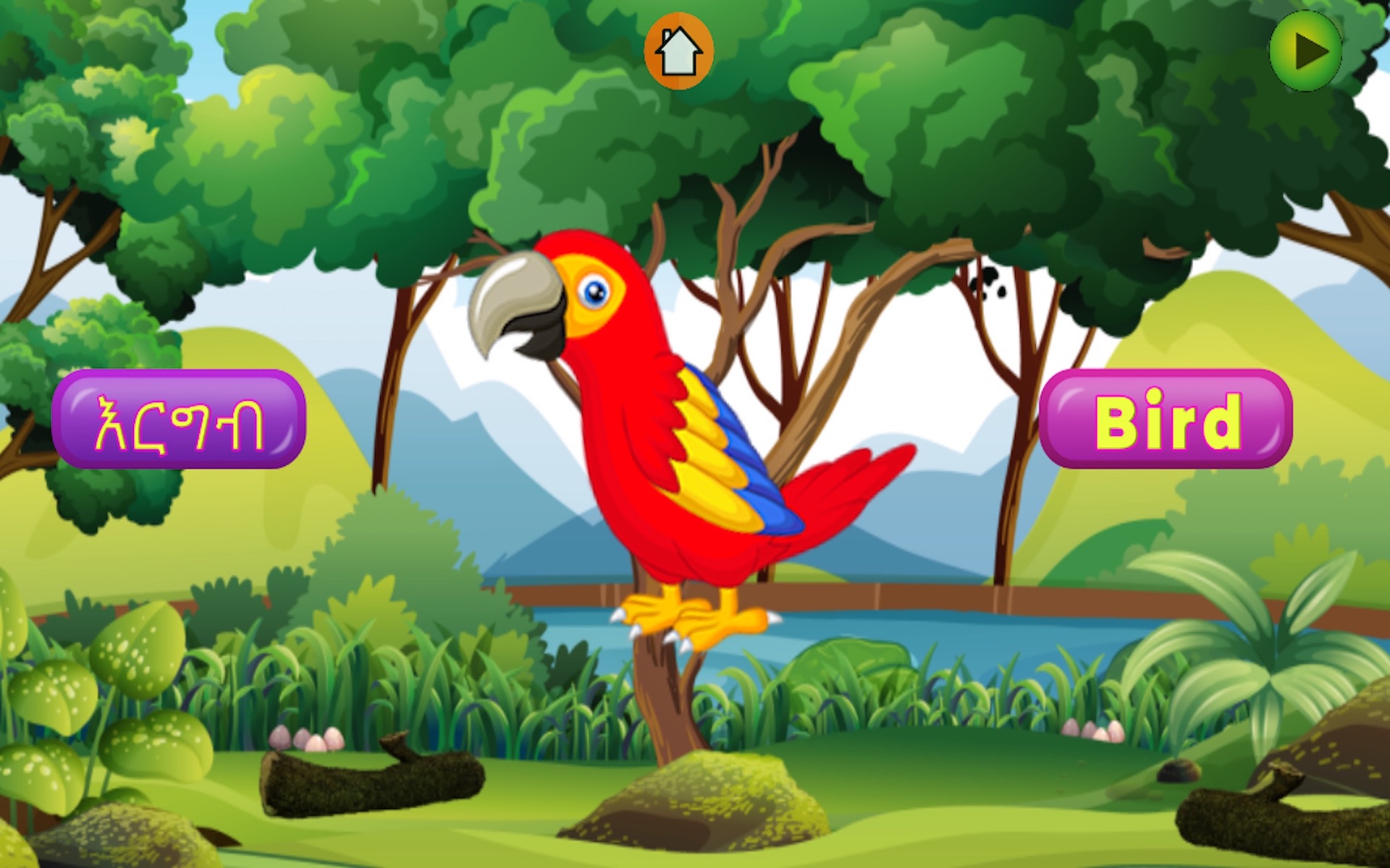 Lijoch - Learn Abc, Amharic Alphabet, Body parts, Number, Color and ...