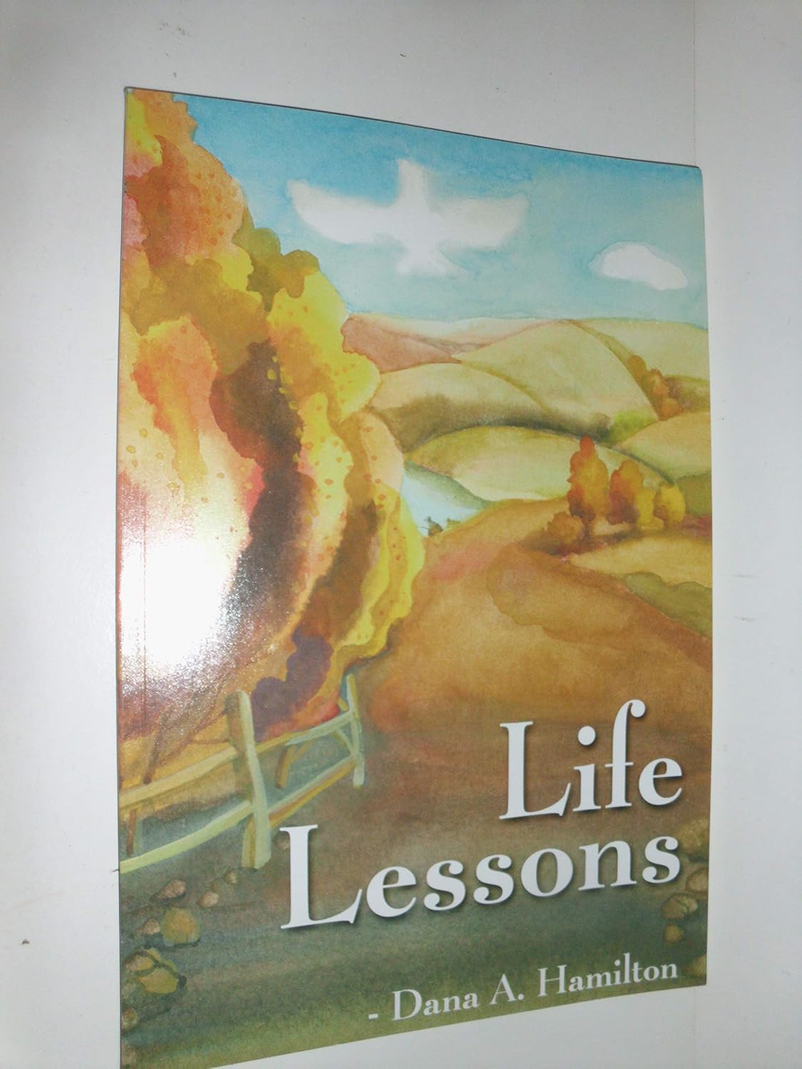 Buy Life Lessons Book Online at Low Prices in India | Life Lessons ...