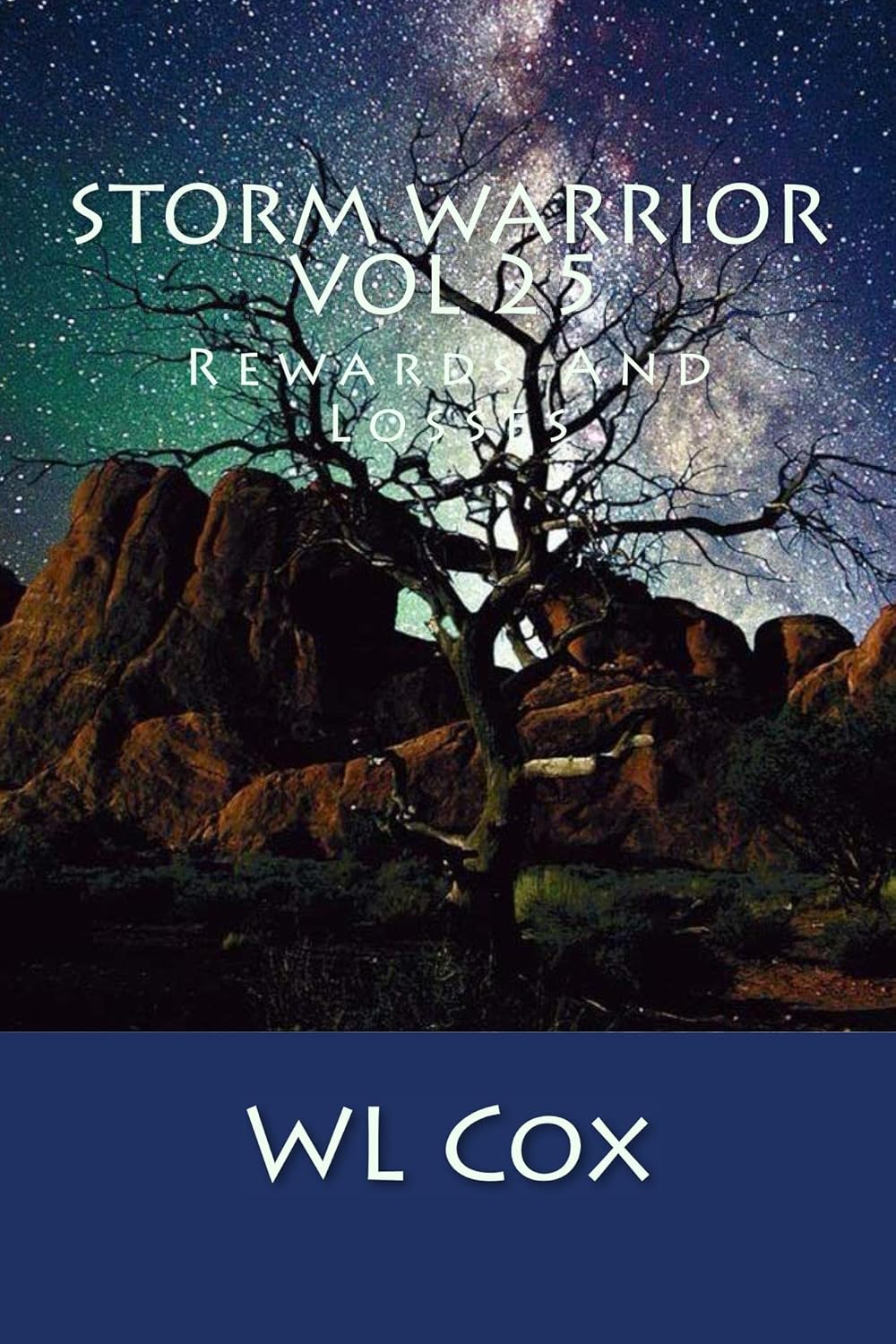 Storm Warrior Vol 25: Rewards And Losses - Kindle edition by Cox, WL ...