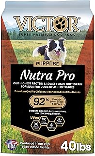 Understanding Protein Deficiency In Dogs: Causes And Solutions | MedShun