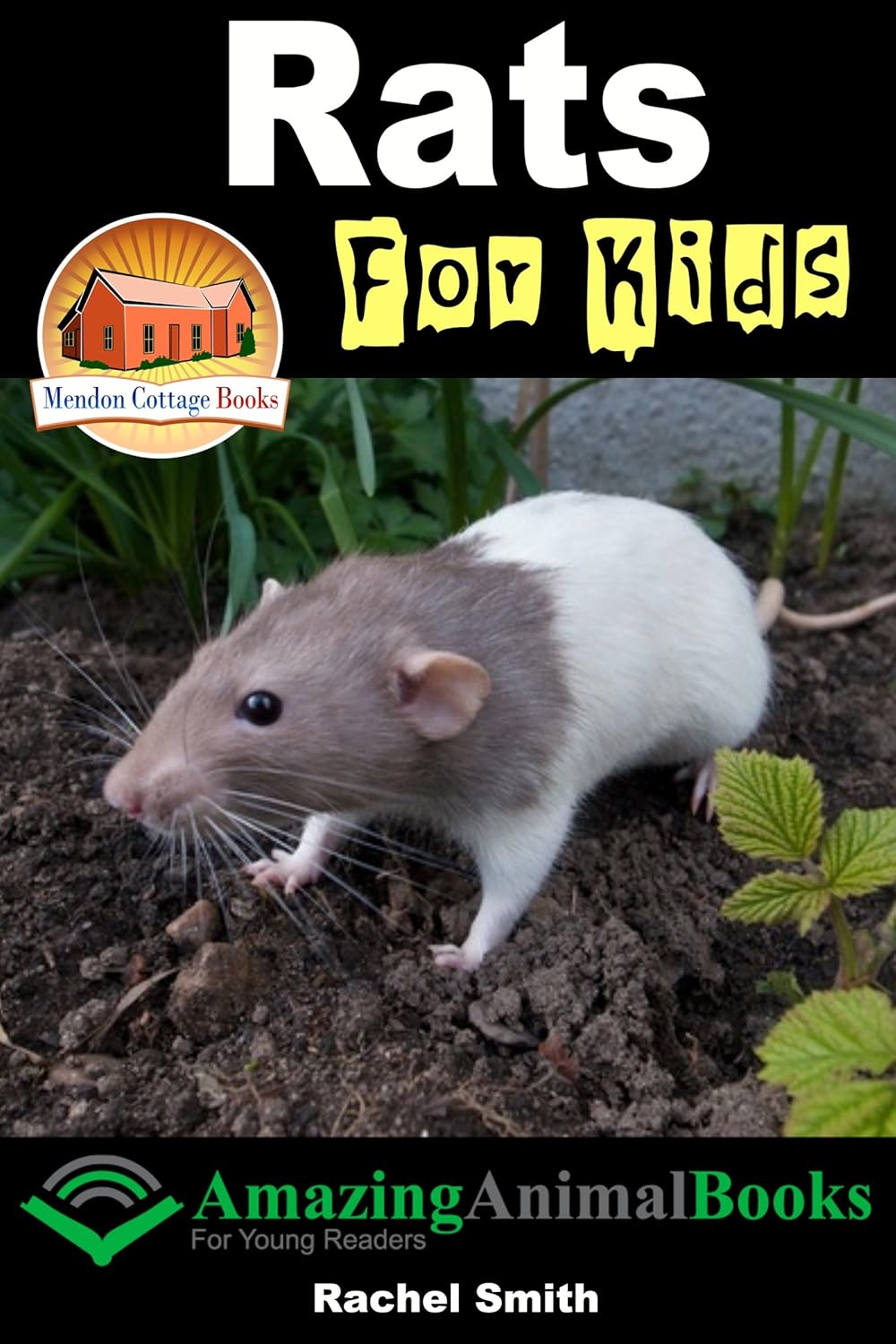 Amazon.co.jp: Rats For Kids (English Edition) 電子書籍: Smith, Rachel ...