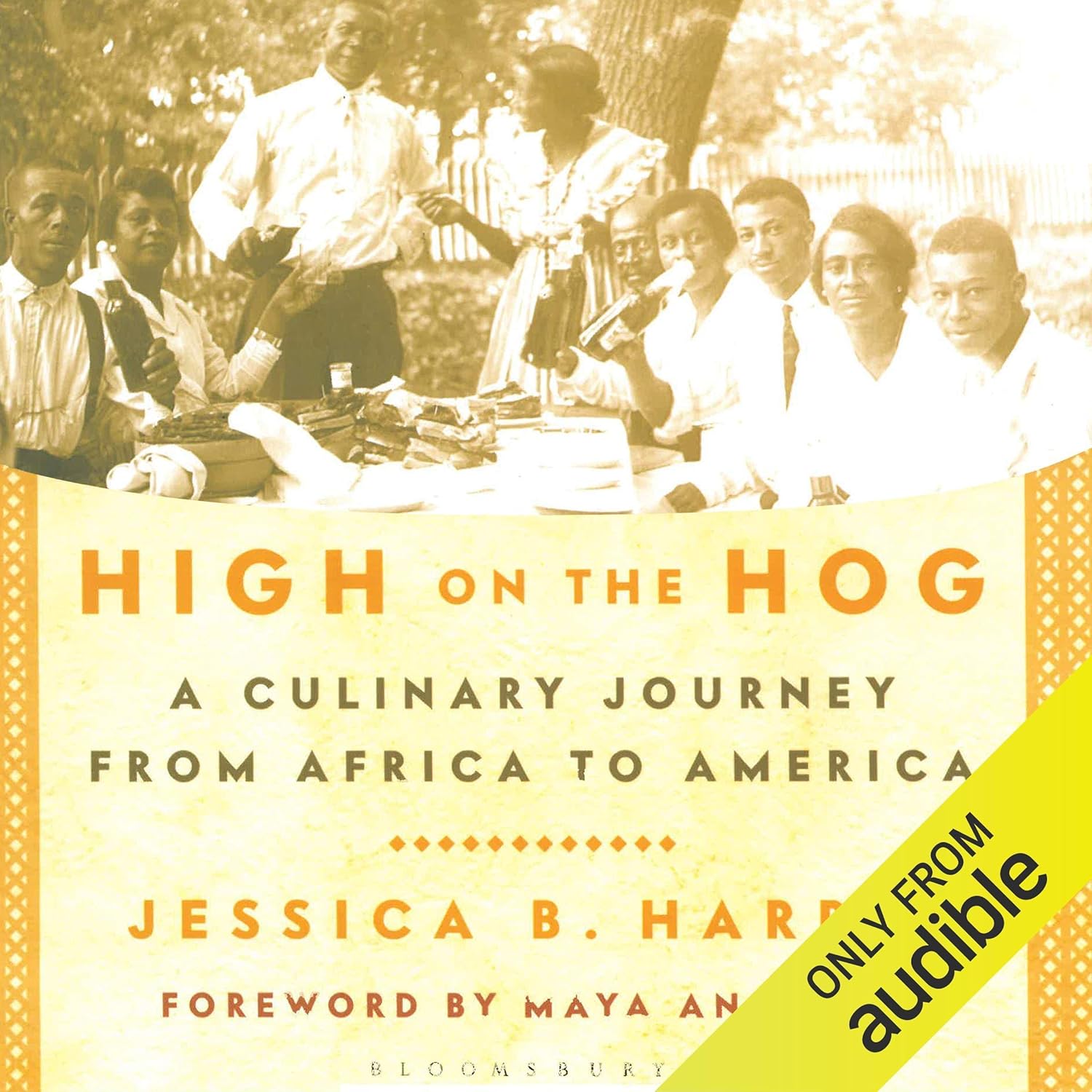 Amazon.com: High on the Hog: A Culinary Journey from Africa to America ...