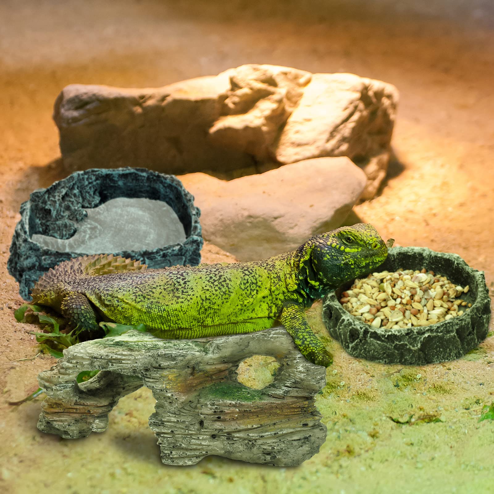 Snapklik.com : Reptile Hide, Reptile Food Bowls, Lizard Resin Hollow ...