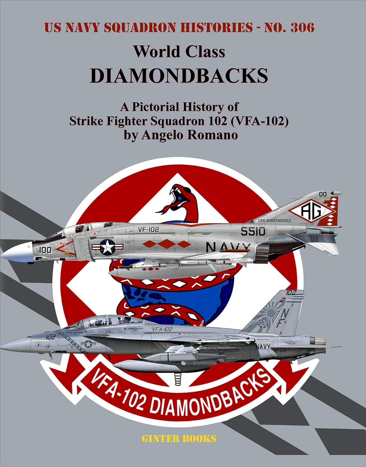 World Class DIAMONDBACKS: A Pictorial History of Strike Fighter ...