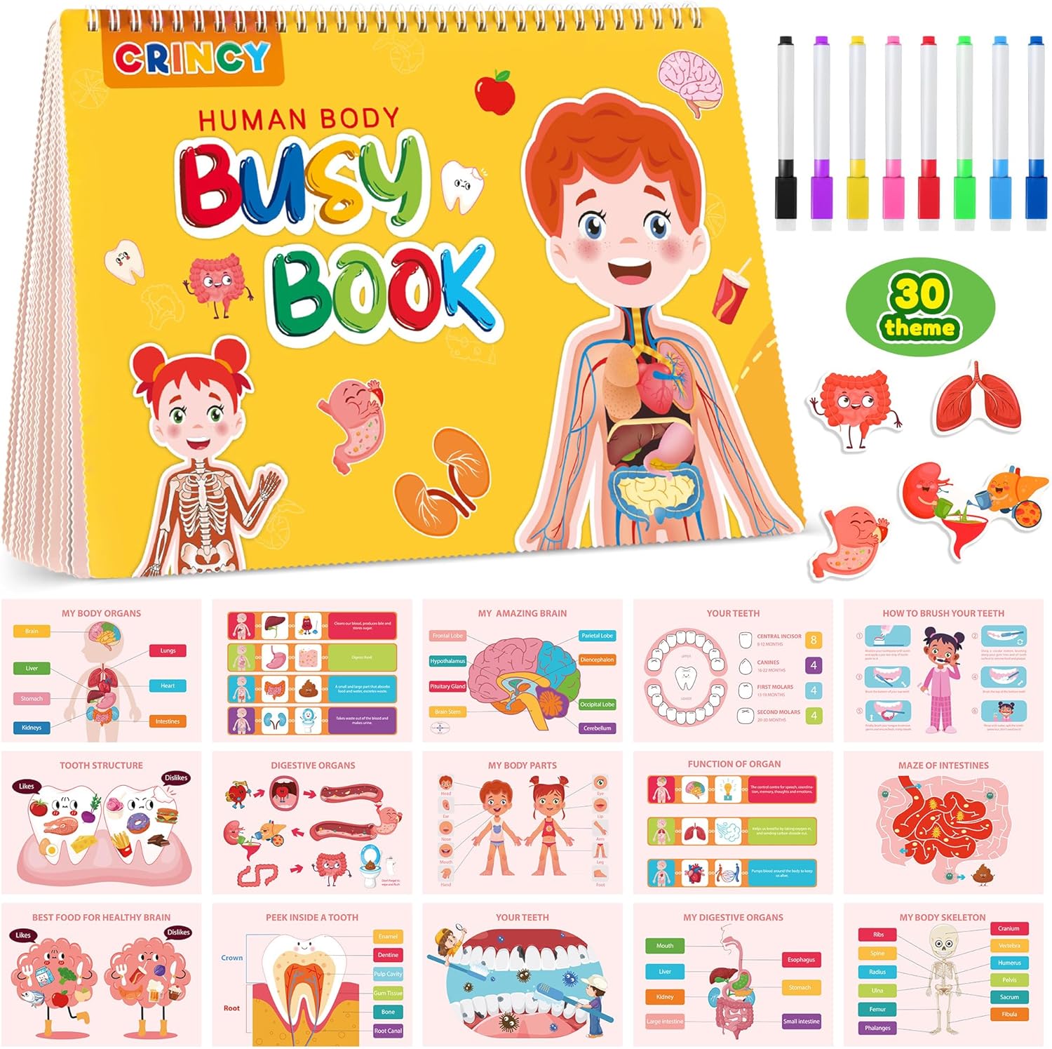 Amazon.com: Montessori Busy Book for Toddlers 1-3 3-5, Preschool ...