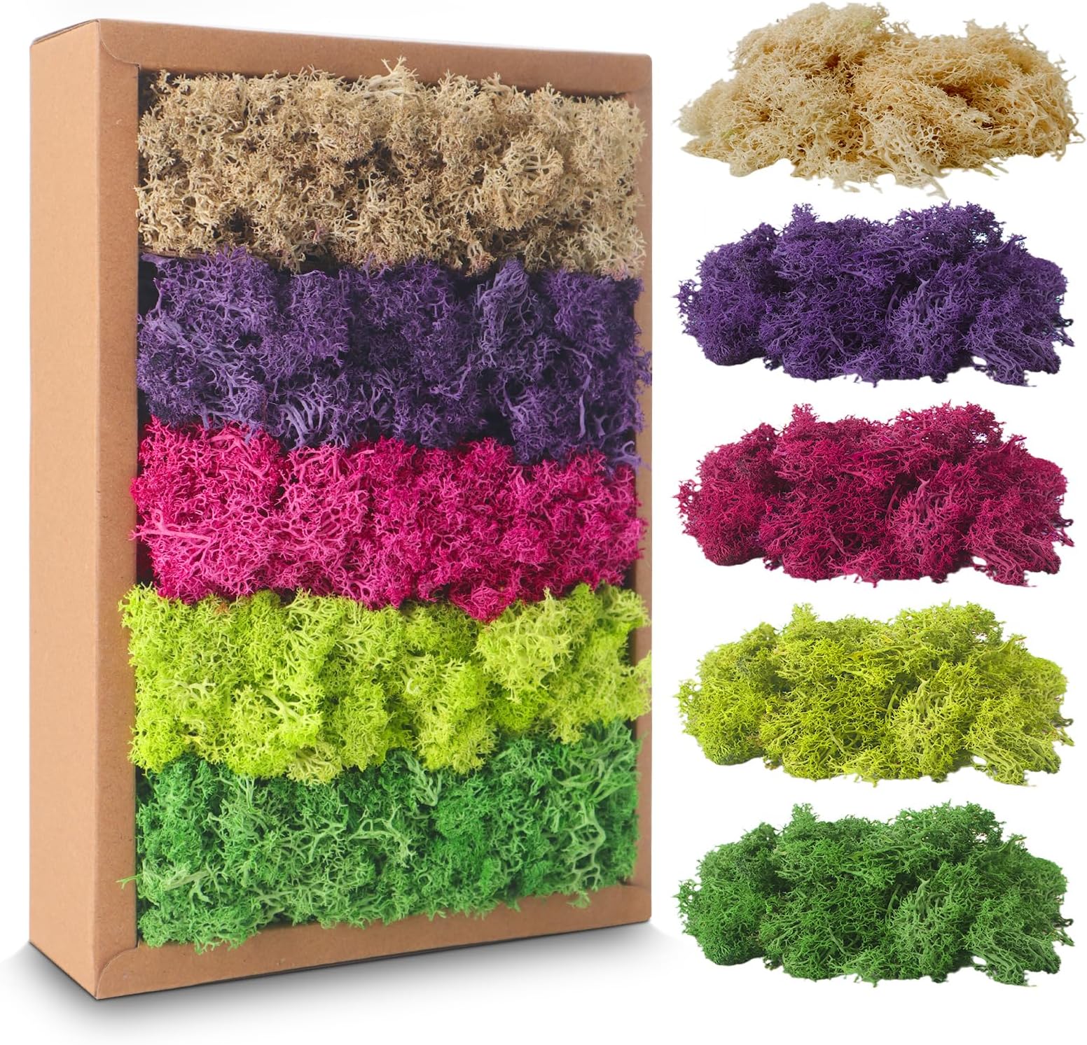 Amazon.de: Islandmoos zum Basteln, Moos Konserviert Deko Moos zum ...