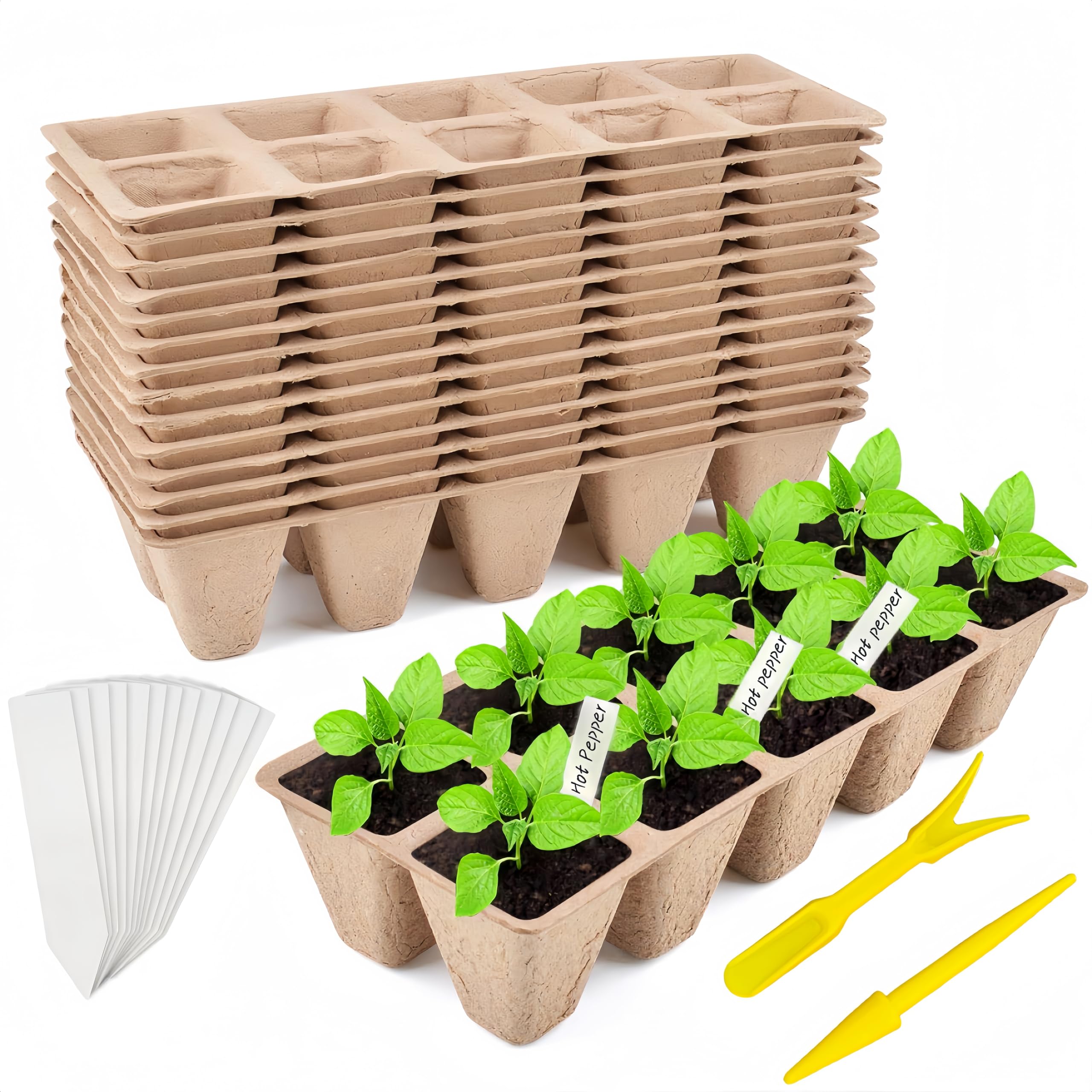 Amazon.com : 240 Cells Peat Pots Seed Starter Pot, 24 Packs ...