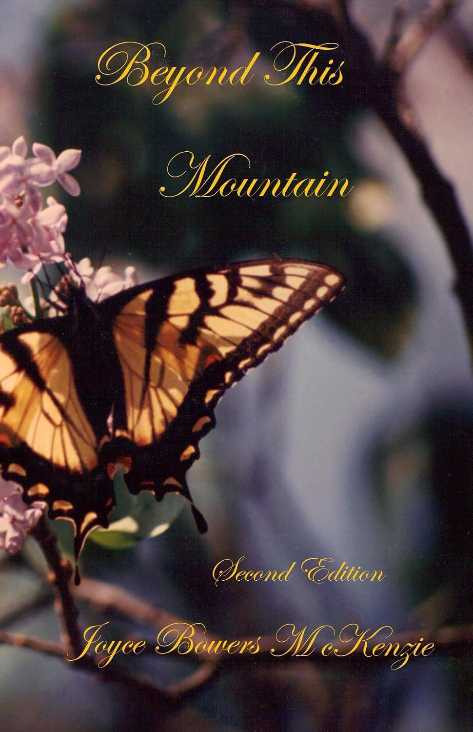 Amazon.com: Beyond This Mountain eBook : McKenzie, Joyce Bowers: Kindle ...