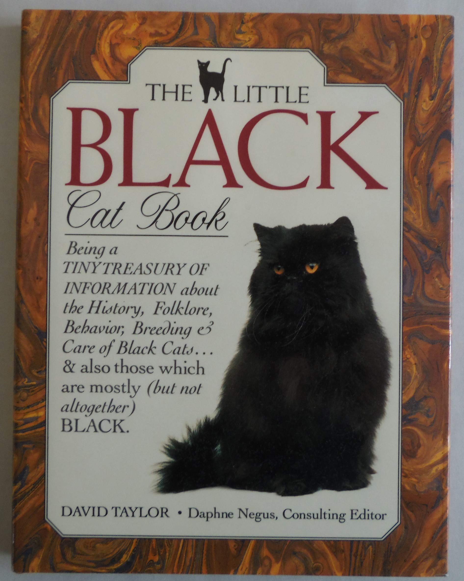 The Little Black Cat Book (The Little Cat Library): Taylor, David ...
