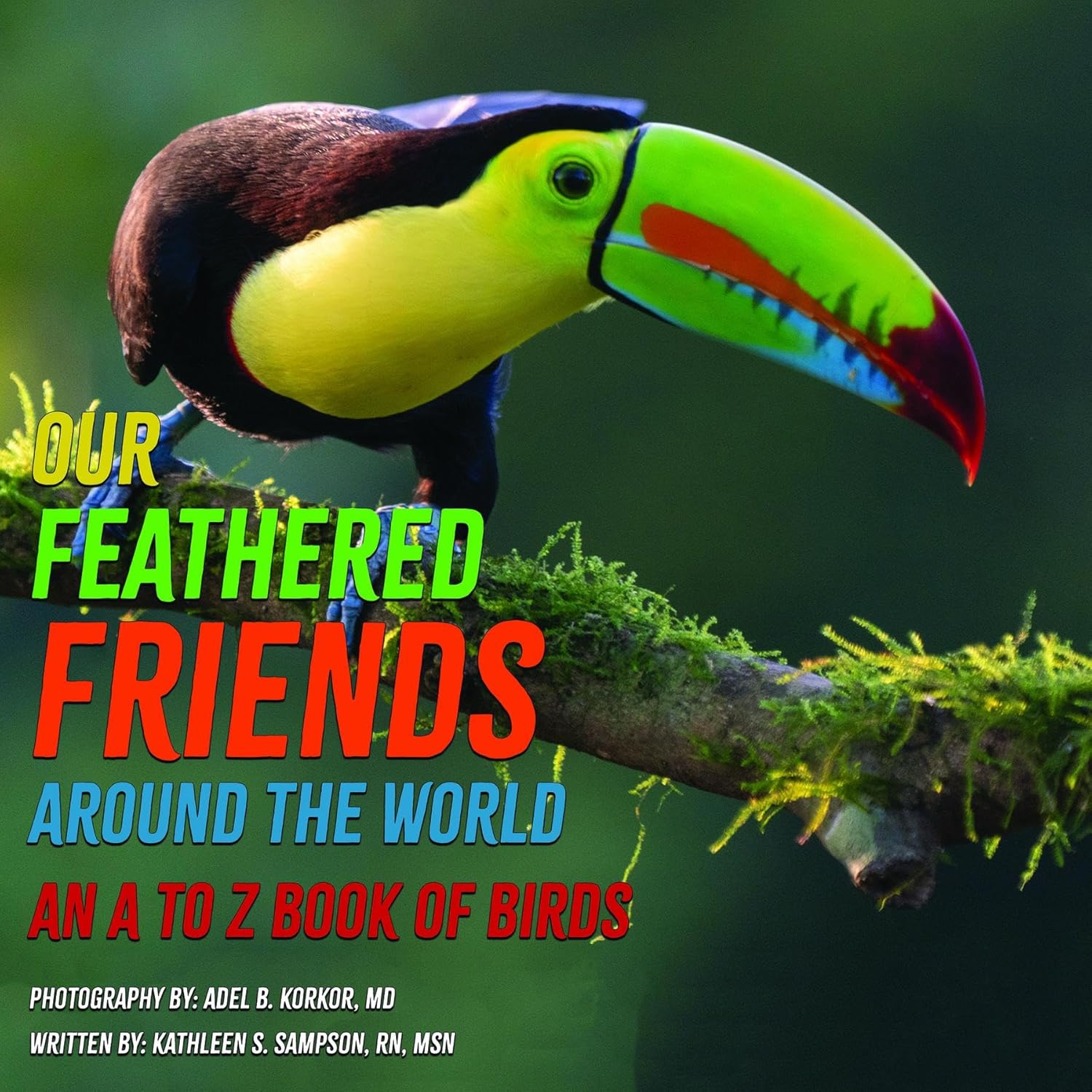 Our Feathered Friends Around The World - An A To Z Book Of Birds eBook ...