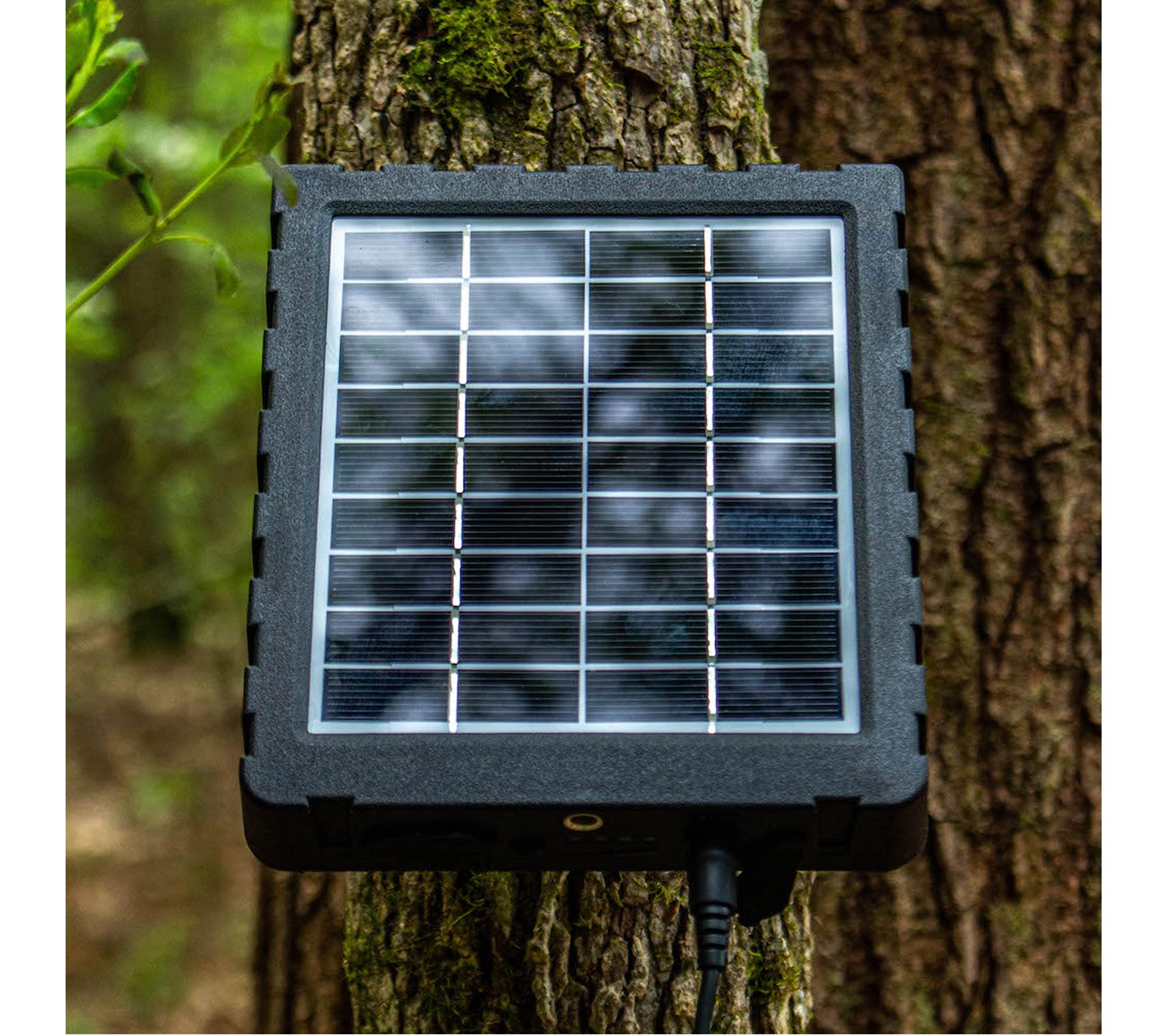 Amazon.com : WiseEye Technologies SmartCam Solar Panel Charger #SP ...