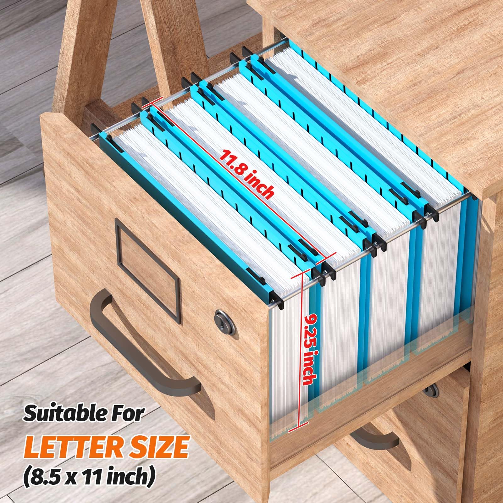 Snapklik.com : Shutex Extra Capacity Plastic Hanging File Folders,12 ...