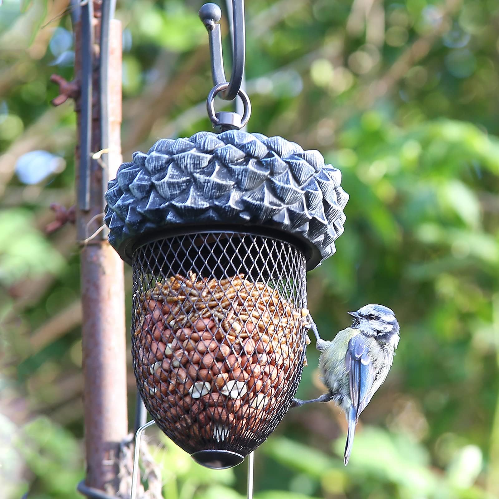Acorn Shaped Metal Bird Feeder Nuts Seeds Fat Hanging Ornate Garden ...