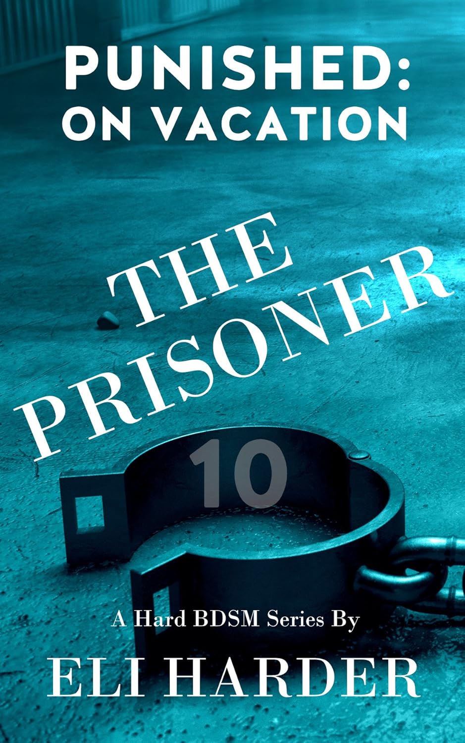 The Prisoner; Punished: On Vacation: A Hard M/M BDSM Series - Kindle ...