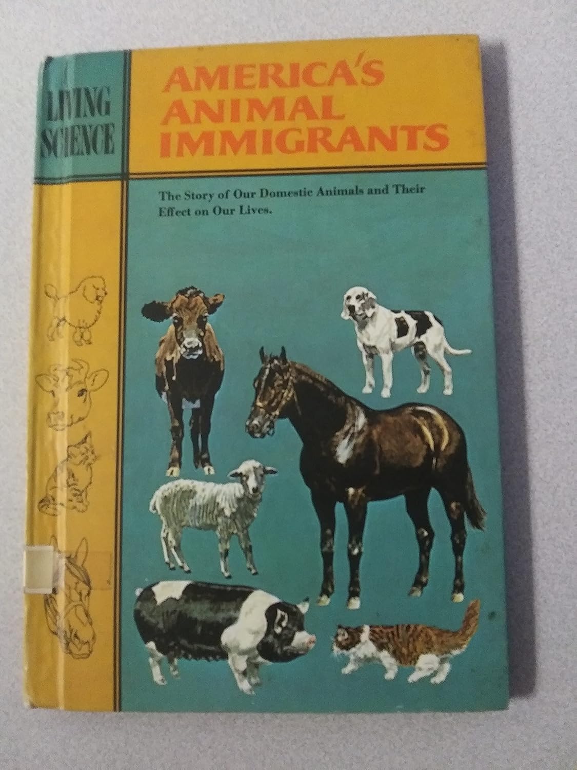 Americas Animal Immigrants: Stull, Edith: Amazon.com: Books