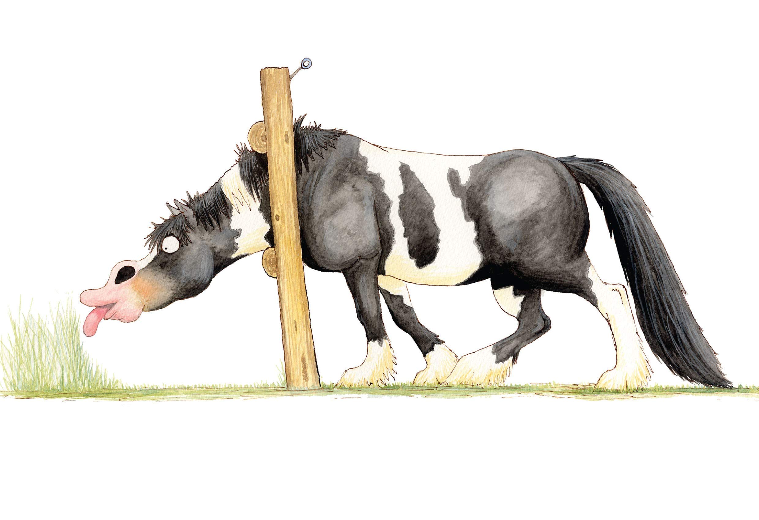 Offensive Horse Memes Funny Horse Face Bad Weather Rain Stock Photo