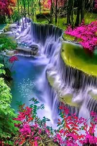 Amazon.com: Wooden Jigsaw Puzzle 5000 Pieces - Flower Waterfall ...