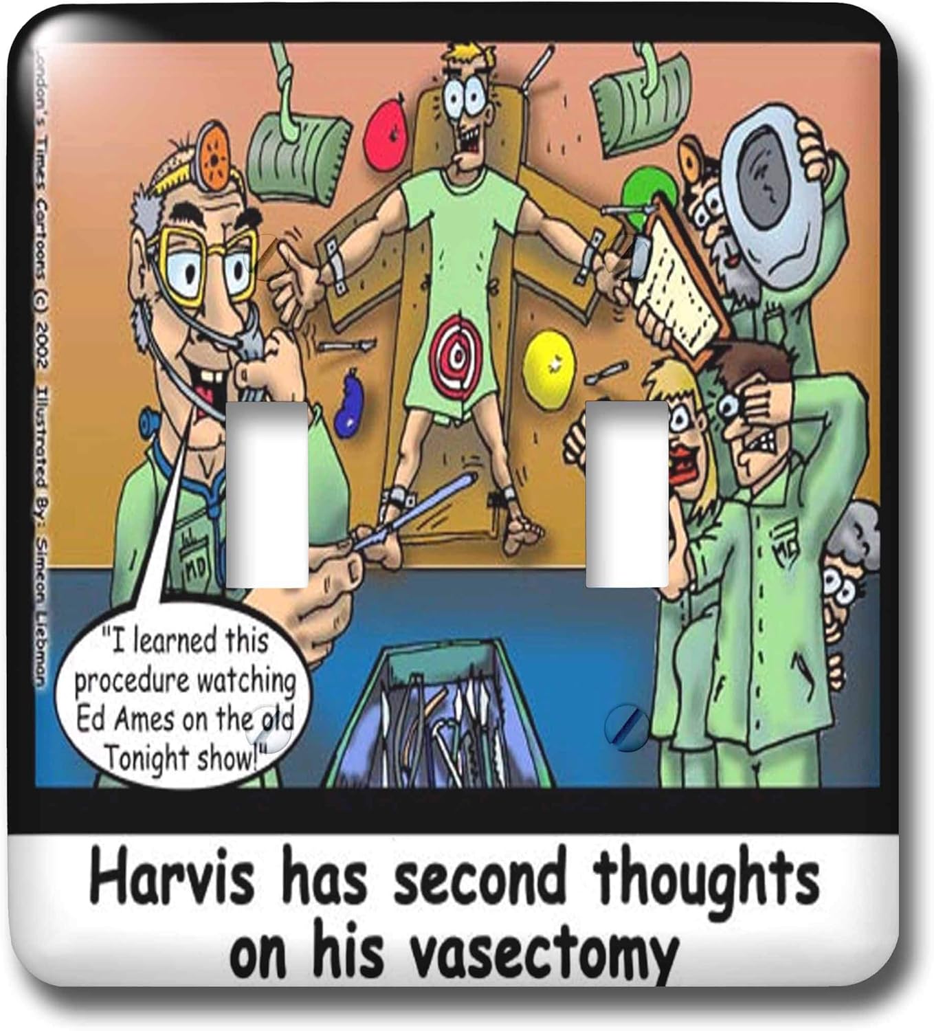 3dRose lsp_2260_2 Ed Ames Vasectomy Double Toggle Switch - Multi Switch ...