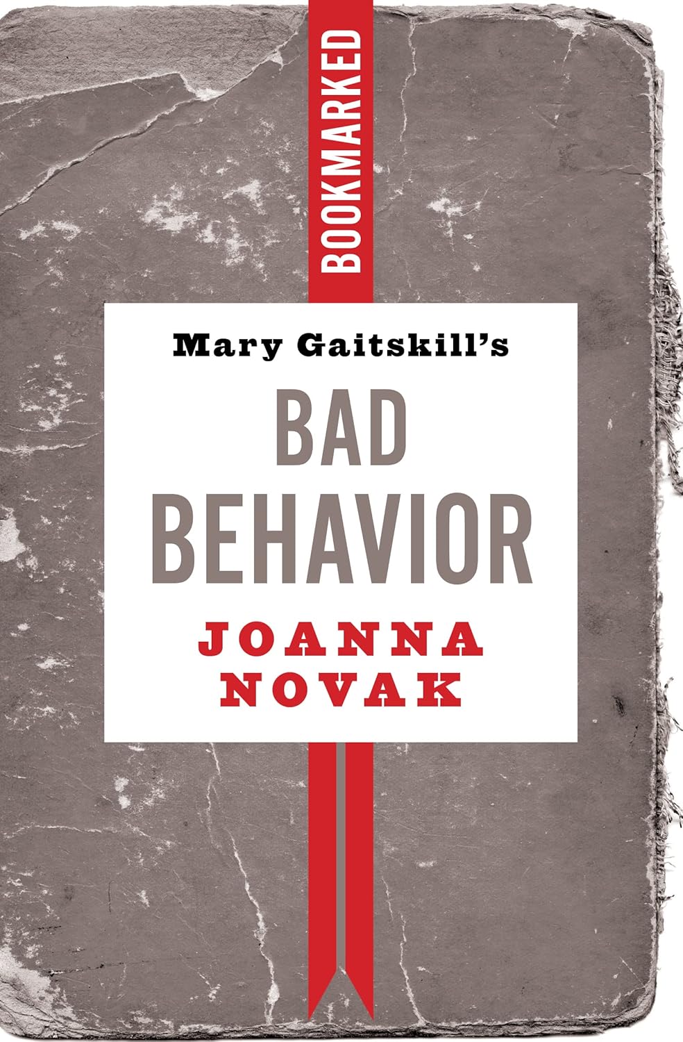 Amazon.com: Mary Gaitskill's Bad Behavior: Bookmarked: 9781632461421 ...
