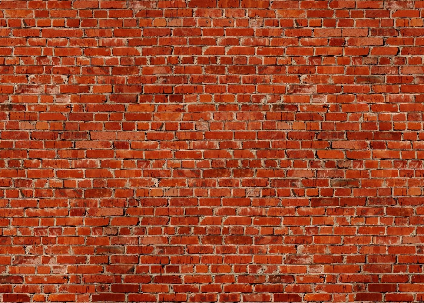 Amazon.com : BELECO 10x8ft Fabric Red Brick Wall Backdrop Brick Photo ...