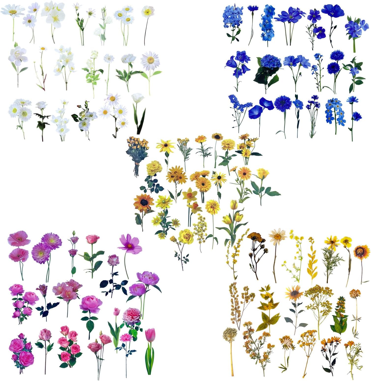 Stickers Fleurs Set,Autocollants de Fleurs Transparents,5 Pièces ...