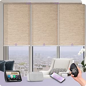 Amazon.com: Graywind Motorized Natural Woven Roller Shades Half-Shading Compatible with Alexa ...
