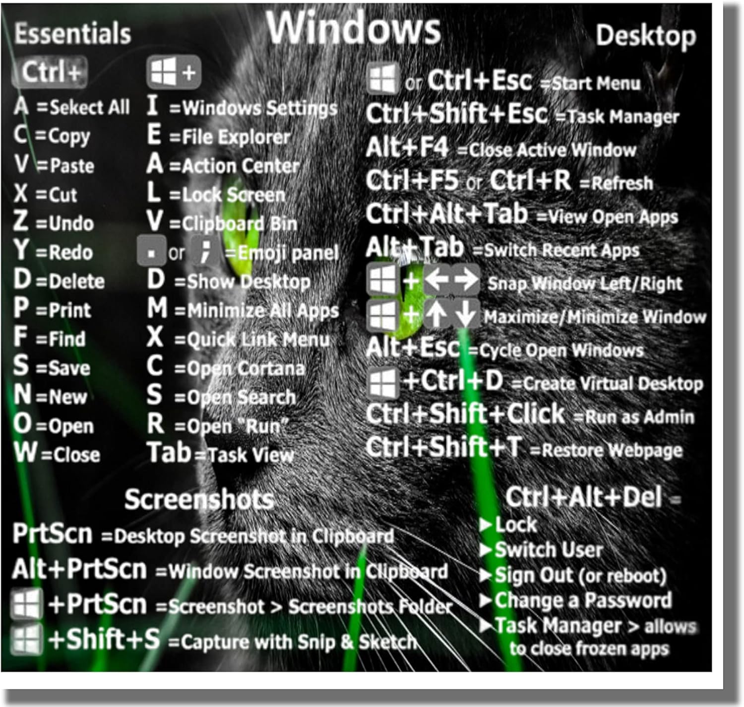 Amazon.com: Easy PC Keys Reference Keyboard-Shortcut New Theme Vinyl ...