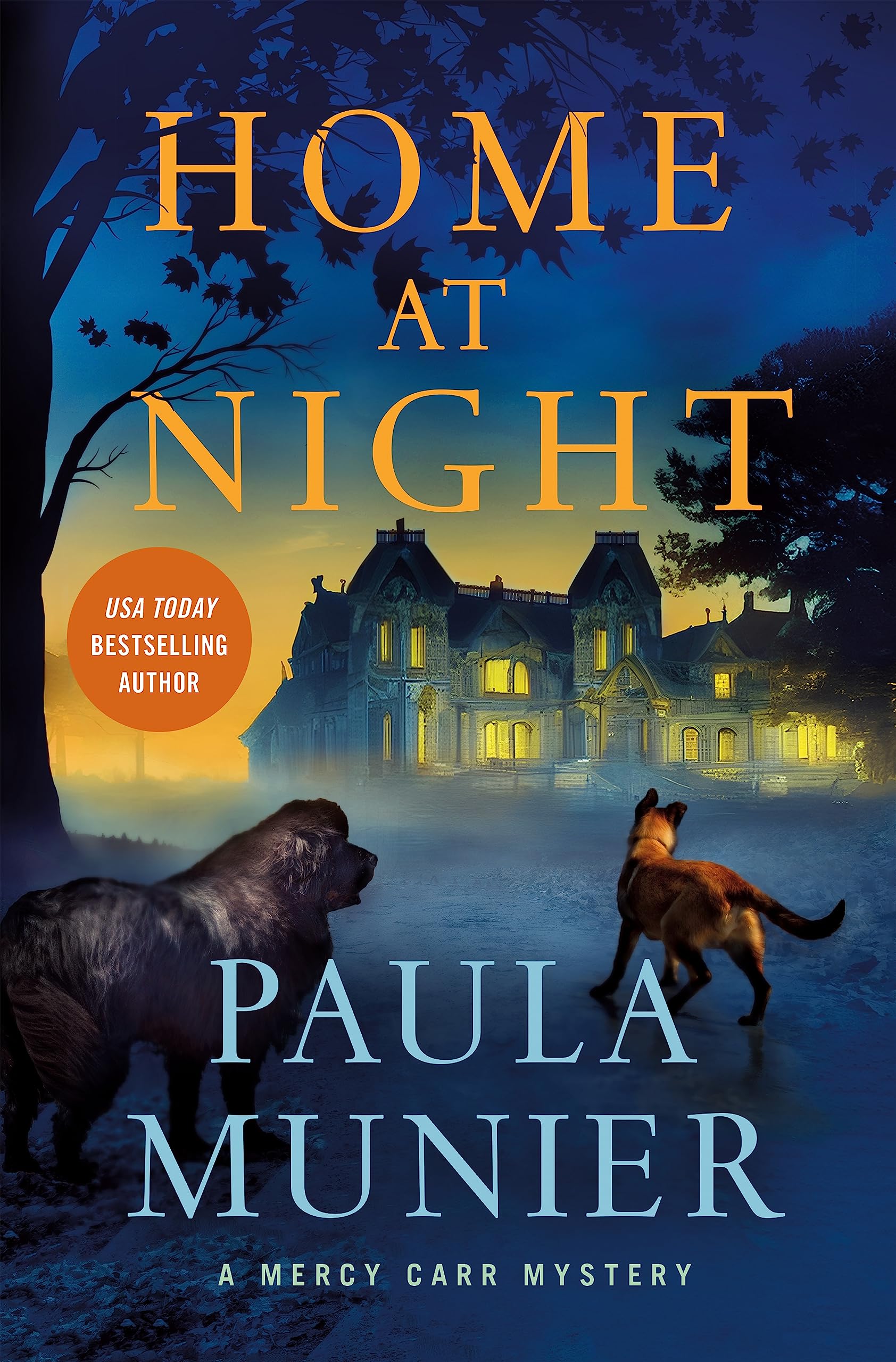 Amazon.com: Home at Night (A Mercy Carr Mystery, 5): 9781250887894: Munier, Paula: Books