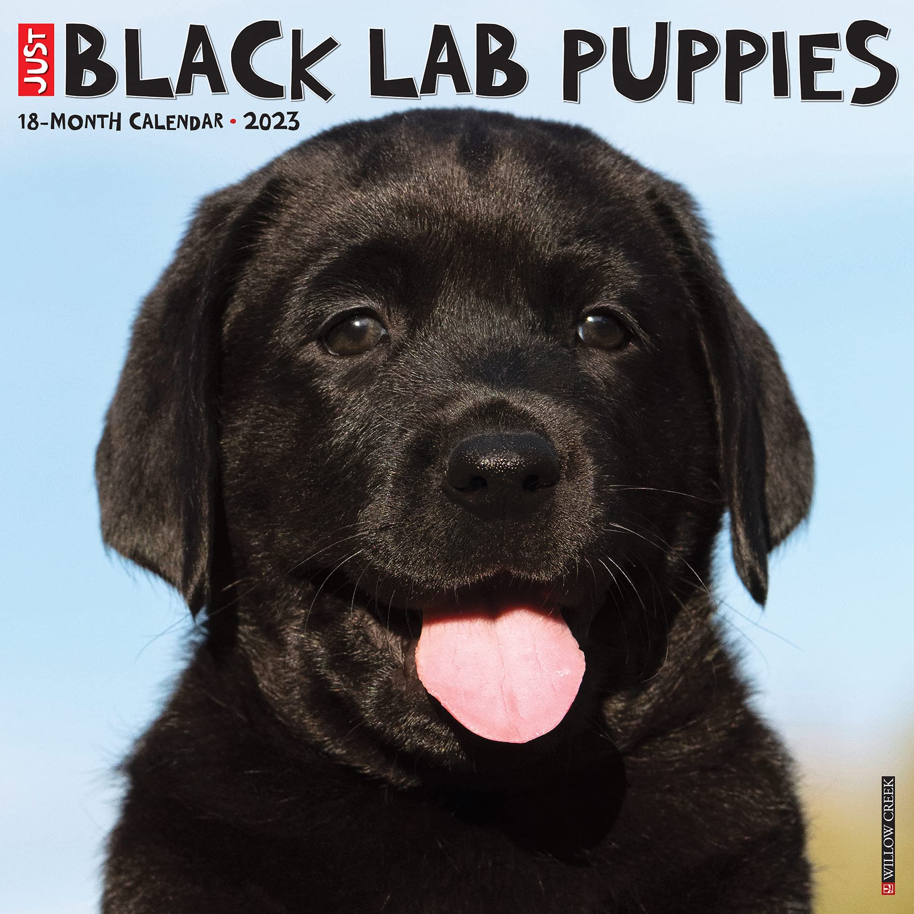 Amazon.com: Just Black Lab Puppies 2023 Wall Calendar: 9781549224959 ...