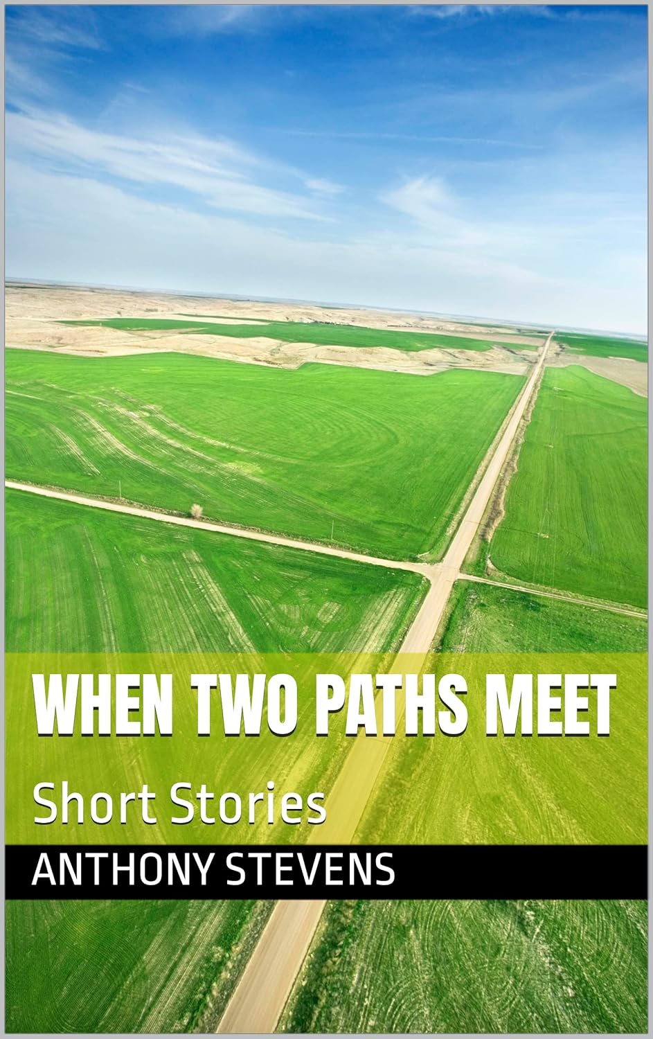 When Two Paths Meet: Short Stories - Kindle edition by Stevens, Anthony ...